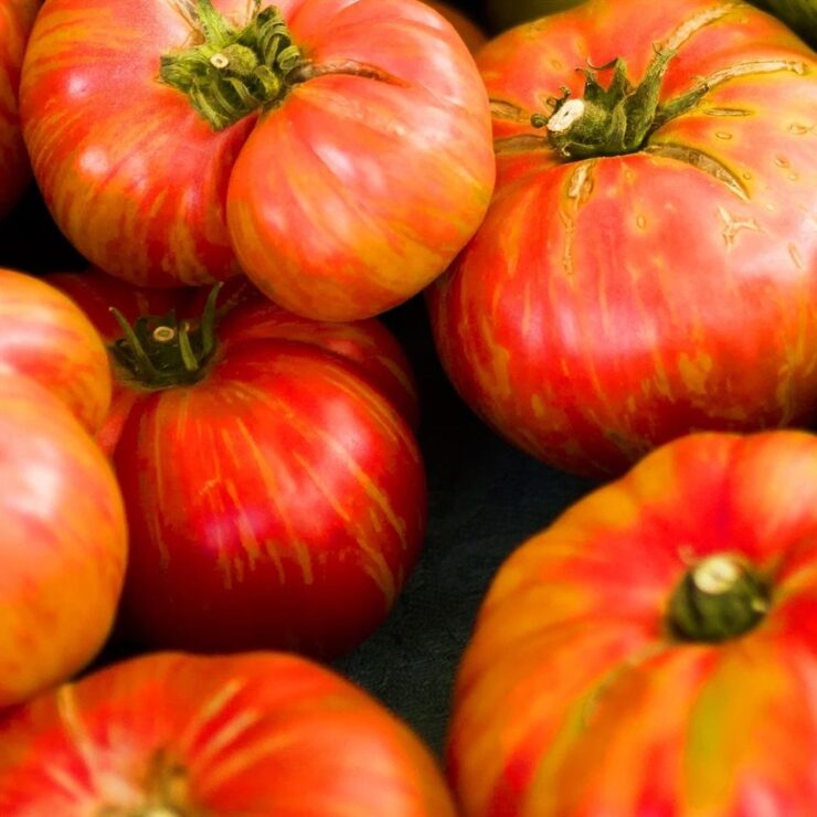 27 Types of Tomatoes: Unique Varieties (with Pictures) - Dre Campbell Farm