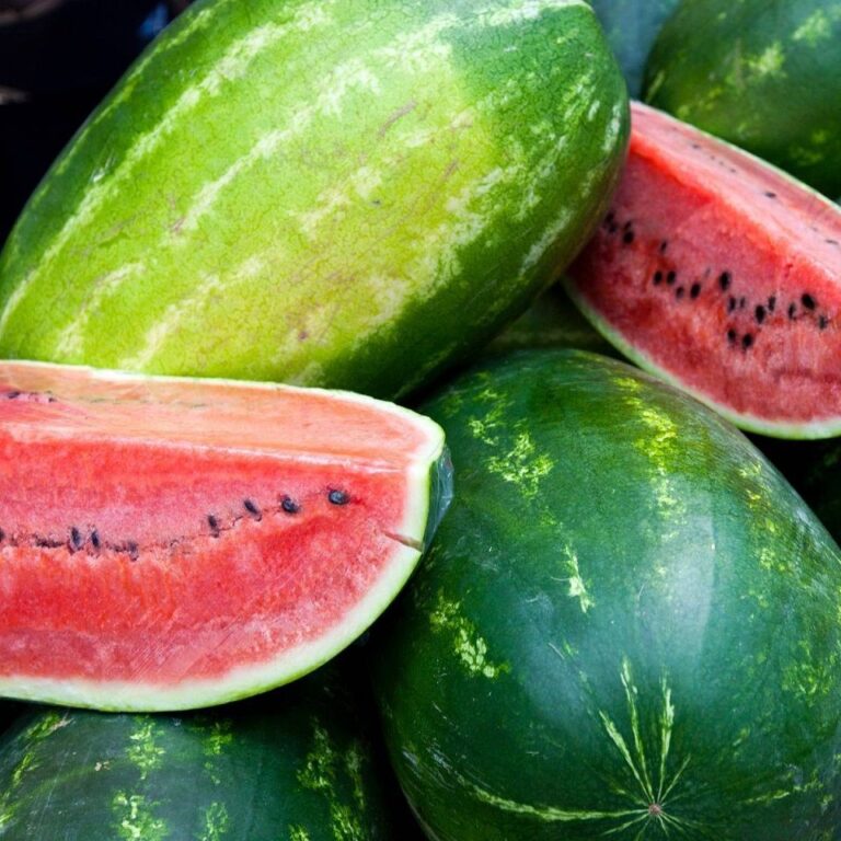18 Different Types of Melons: Must-Have Varieties - Dre Campbell Farm